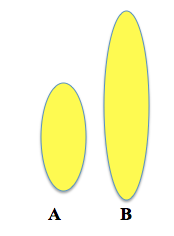 Describing Measurable Attributes of Objects: CCSS.Math.Content.K.MD.A.1 ...